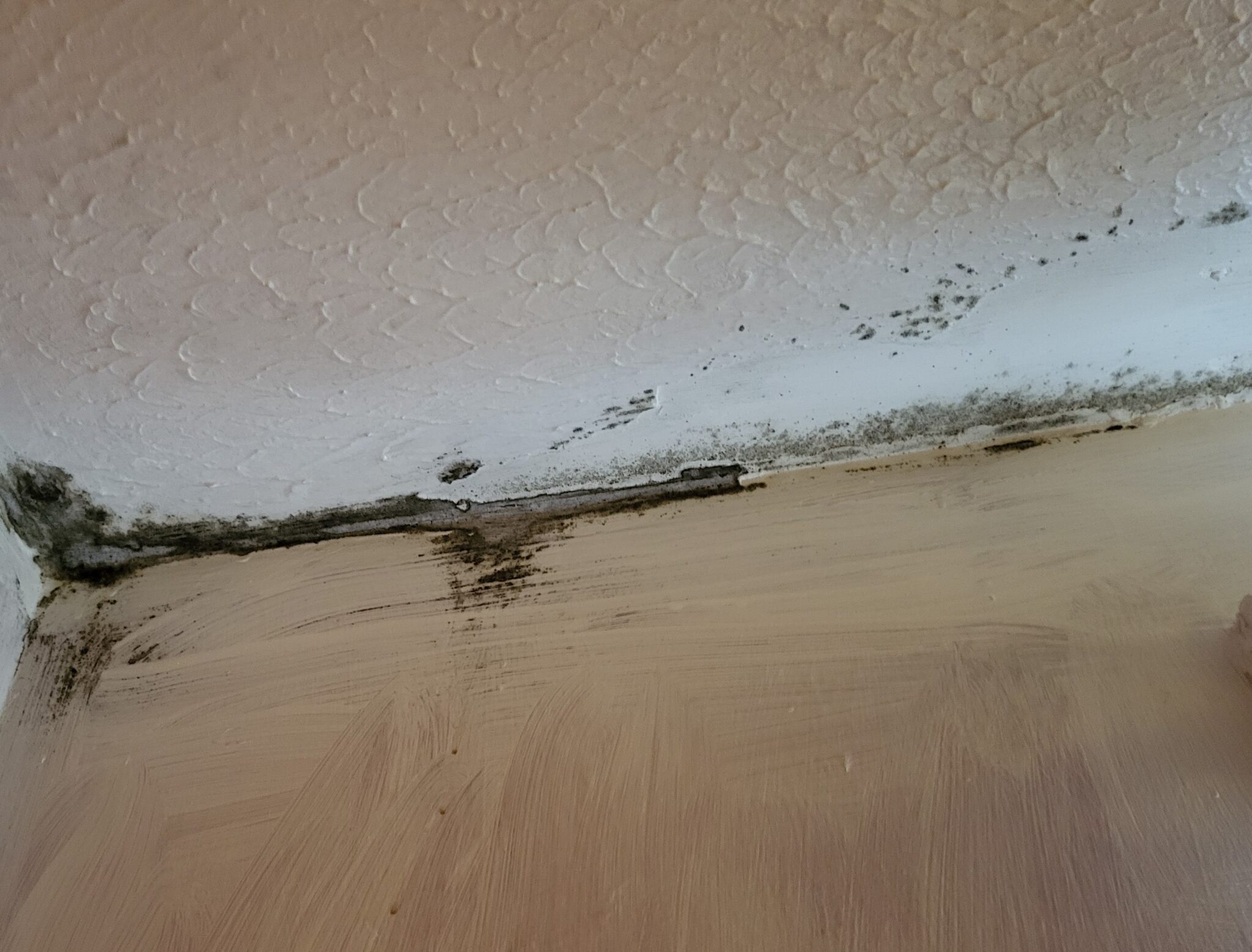 How A Mouldy Home Can Hurt Your Health - NJS Law