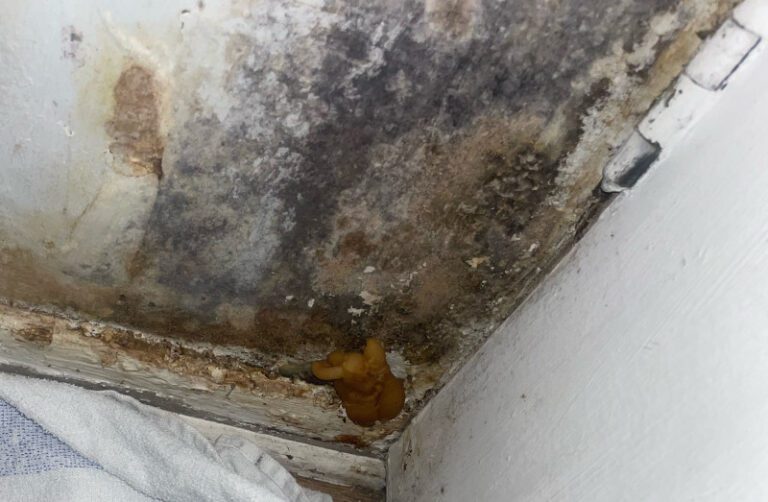 How A Mouldy Home Can Hurt Your Health - NJS Law